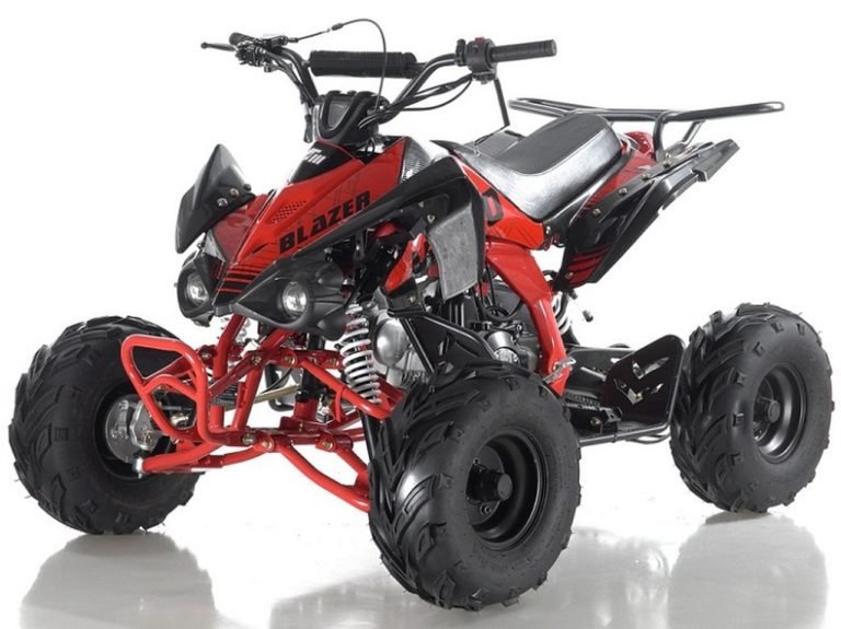 Bull 200cc Automatic ATV Power Off Road Ride - Pioneer Powersports