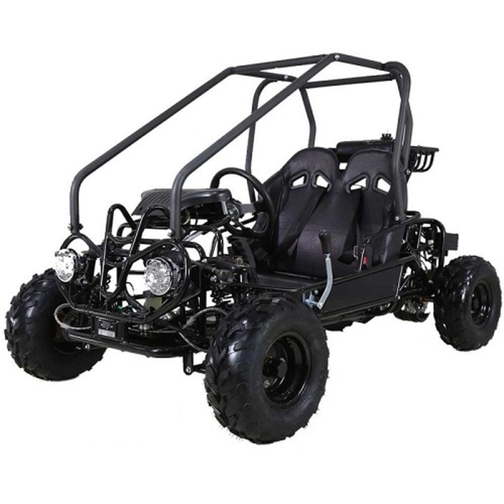 Trailmaster Cheetah 300EX Go Kart - Pioneer Powersports