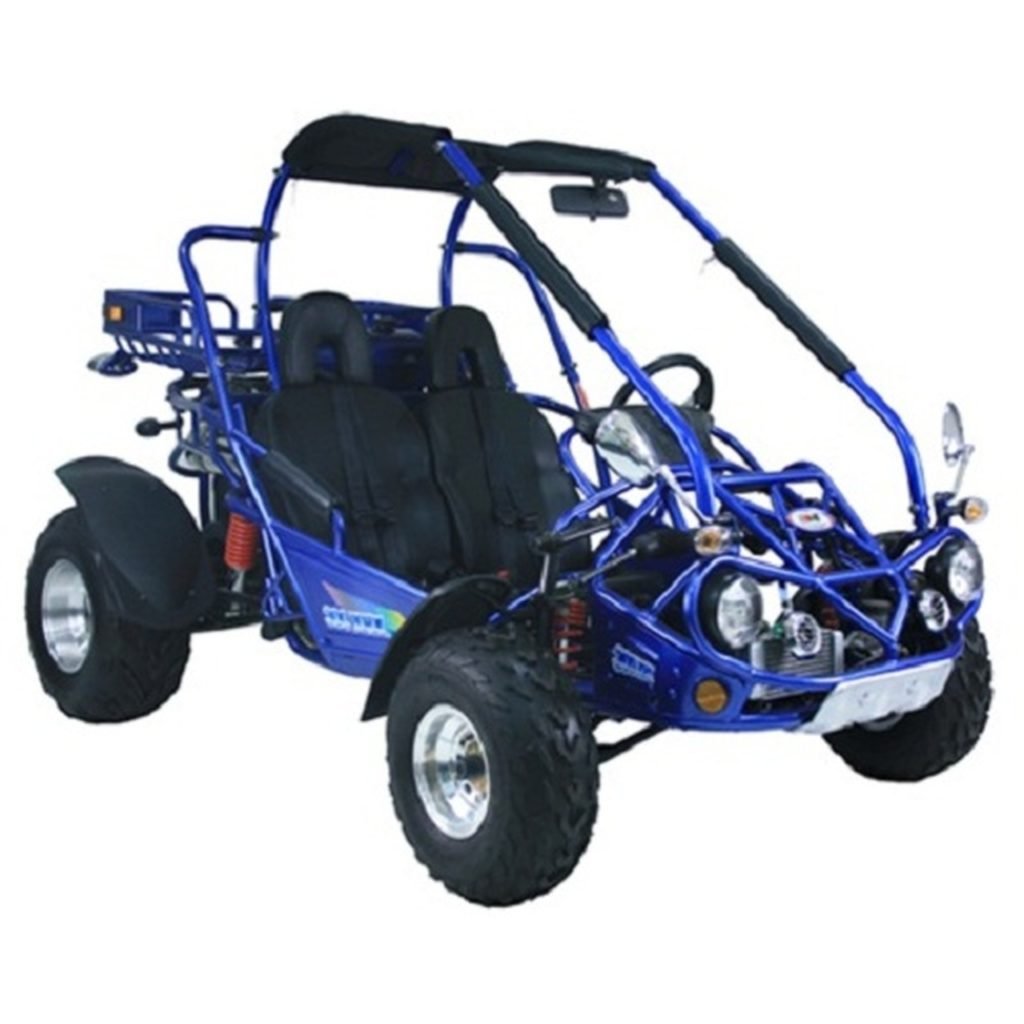 Trailmaster 300 XRX High Quality 300CC Electric Start - Pioneer Powersports