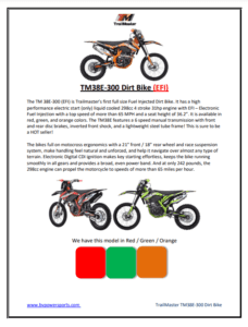 Trailmaster TM38E 300 EFI Dirt Bike - Pioneer Powersports