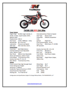 Trailmaster TM38E 300 EFI Dirt Bike - Pioneer Powersports