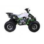 Tao Motor Cheetah 125cc ATV Off-Road Power & Adventure Ready