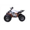 Tao Motor Cheetah 125cc ATV Off-Road Power & Adventure Ready