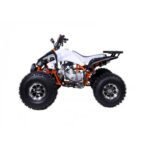 Tao Motor Cheetah 125cc ATV Off-Road Power & Adventure Ready