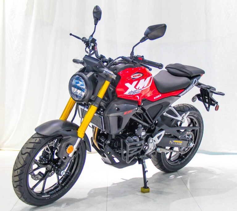 XMT 250 EFI Street Bike - Zong Shen Brand, Single Cyliner