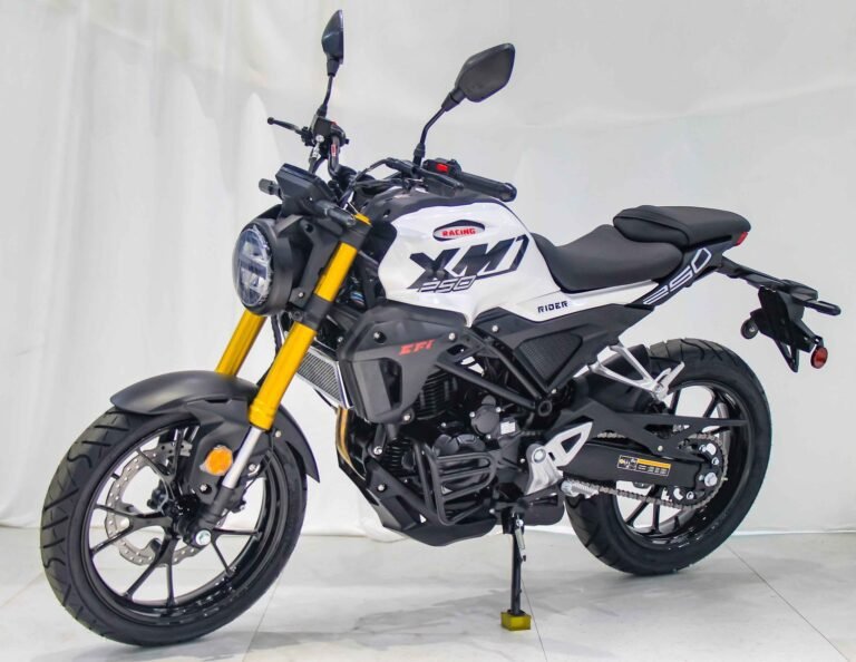 XMT 250 EFI Street Bike - Zong Shen Brand, Single Cyliner