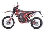 Trailmaster TM38EX 300cc EFI Dirt Bike for Sale - Off-Road Ready