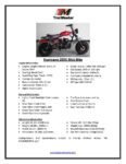 Trailmaster Hurricane 200X Mini Bike - Pioneer Powersports