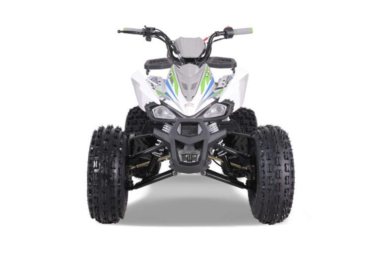 Tao Motor CHEETAH ATV 107cc | Shop Now | Best Deals - Pioneer Powersports