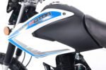 Tao Motor TBR7D 250cc Motorcycle For Sale - Pioneer Powersports