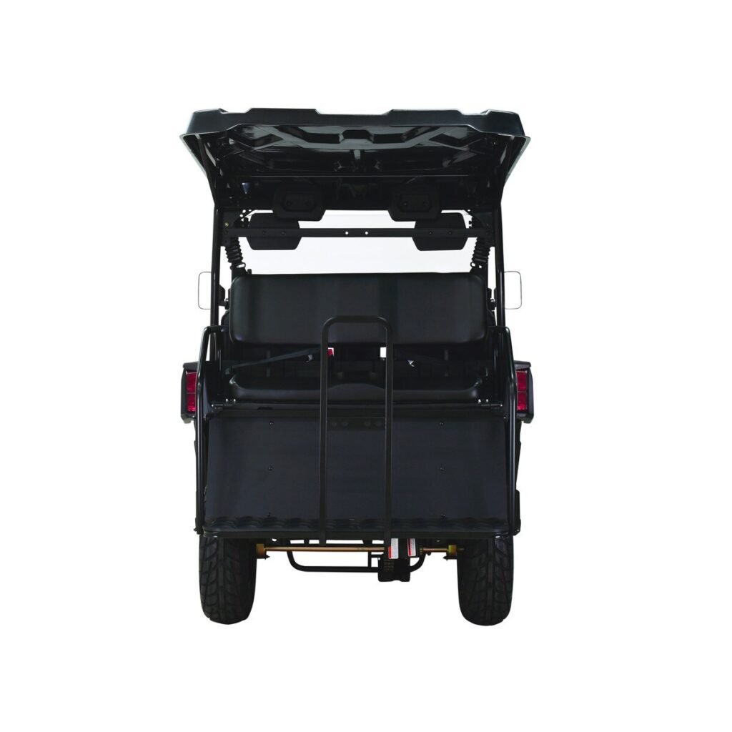 Massimo Buck 250X Golf UTV For Sale - Pioneer Powersports