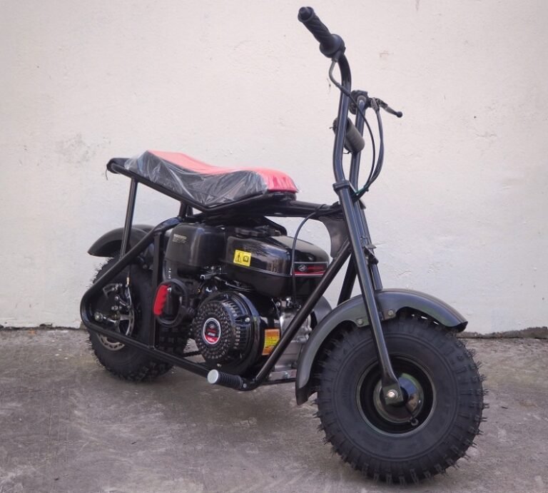 TrailMaster Storm 200 Mini Bike - Perfect for Kids' Adventures