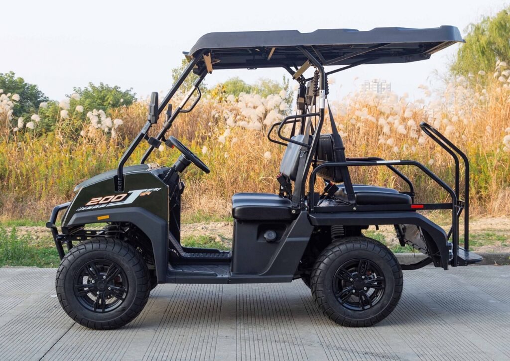 Vitacci CROSS LAND 200 EFI Golf Cart For Sale - Pioneer Powersports
